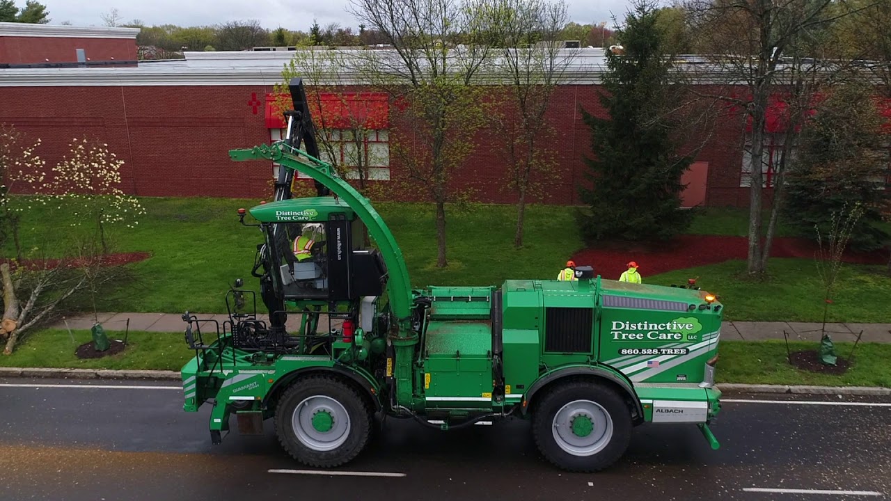 Distinctive Tree Care 1 - YouTube