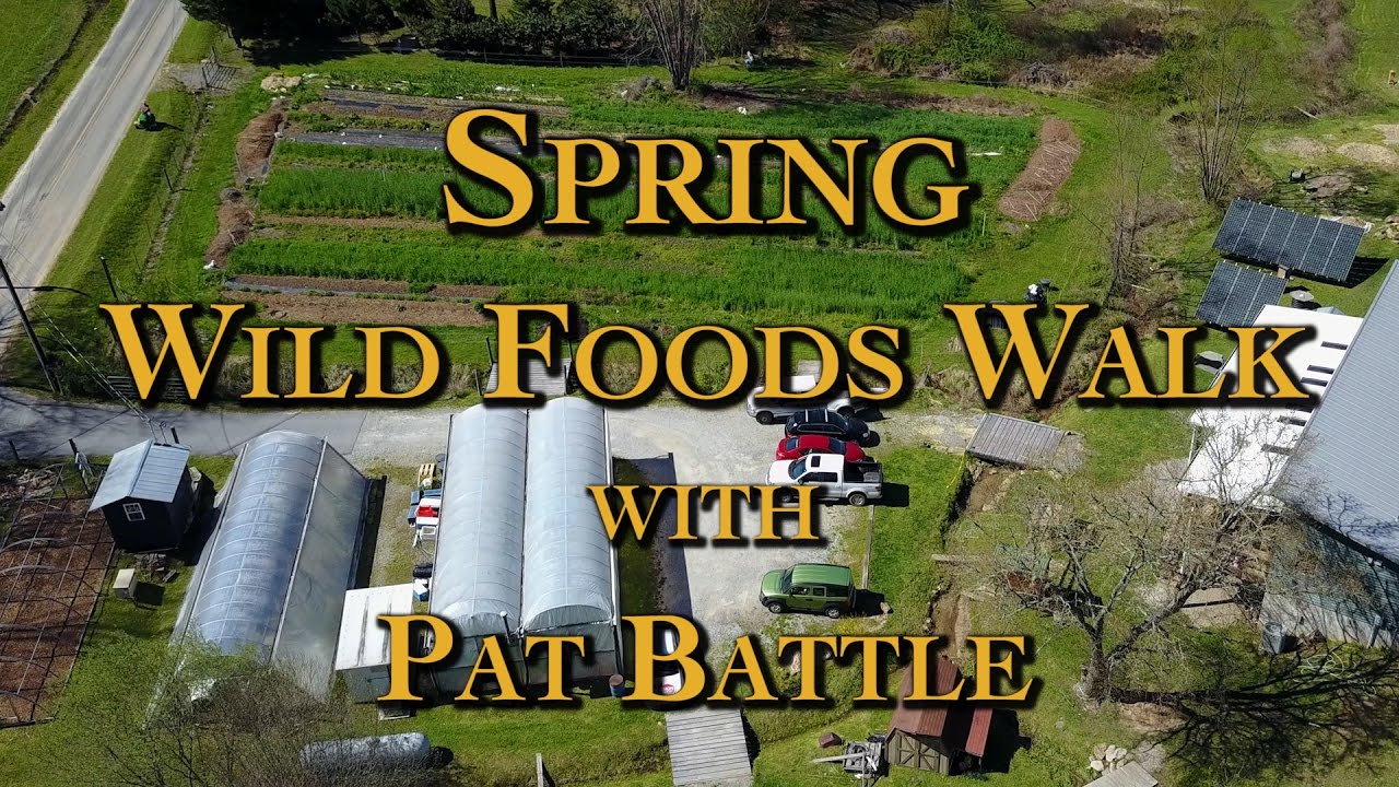 Spring Wild Foods Walk with Pat Battle - YouTube