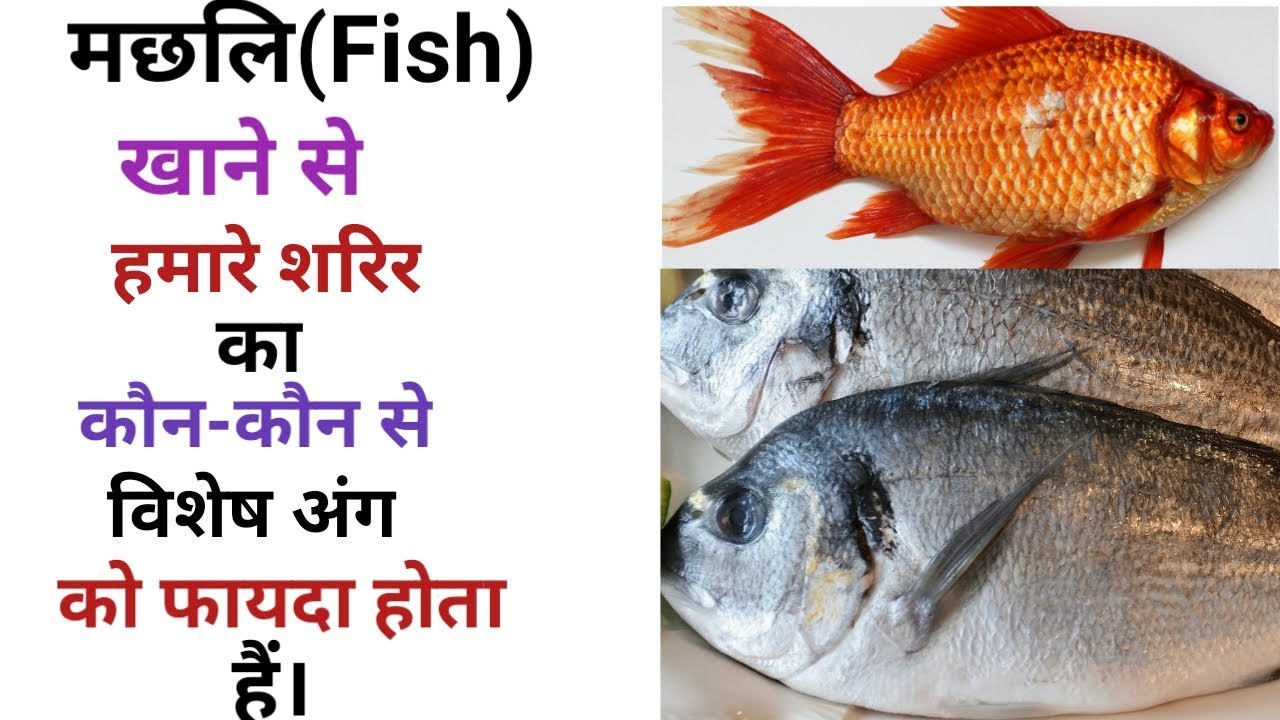 मछली खाने से फायदे | Health Benifit Of Eating Fish | Fish khane ke ...