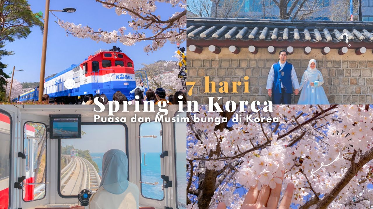20 best spot musim bunga di Korea 2023🌸 Seoul ~ Busan - YouTube