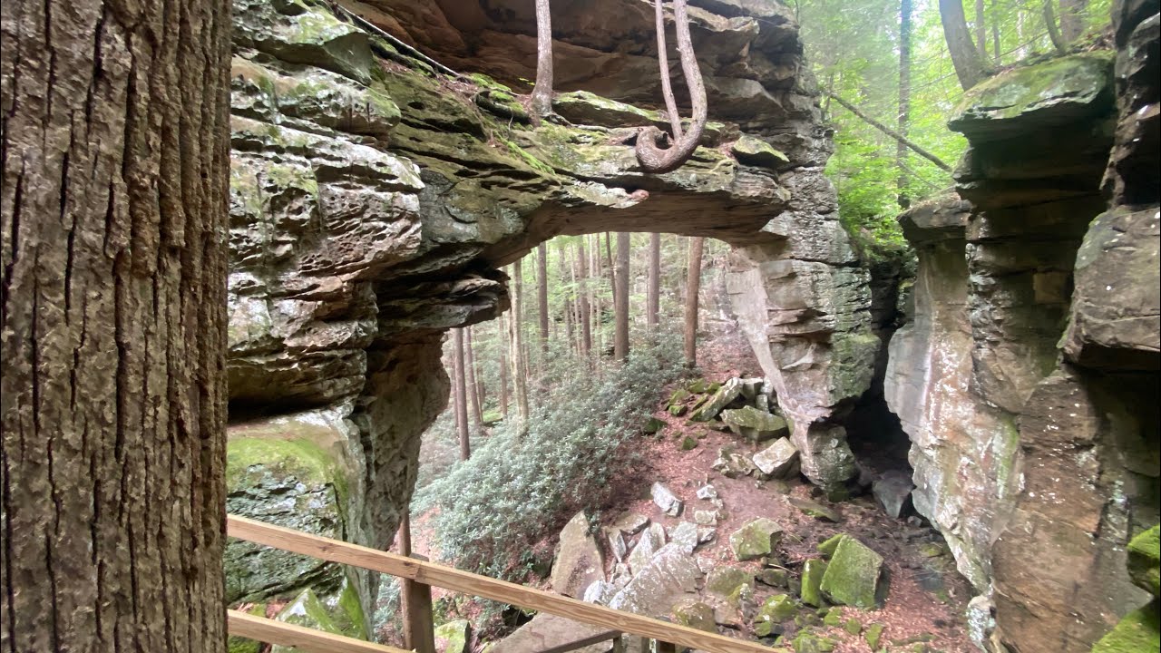 Split Bow Arch - YouTube