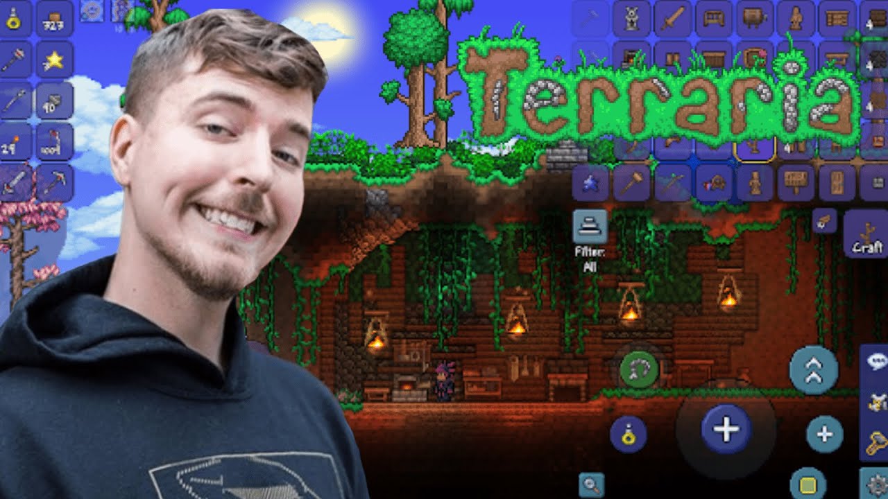 Mr Beast Terraria