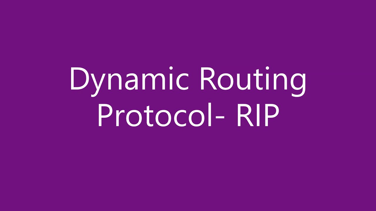 Dynamic Routing Protocol- RIP | SANA LECTURES - YouTube