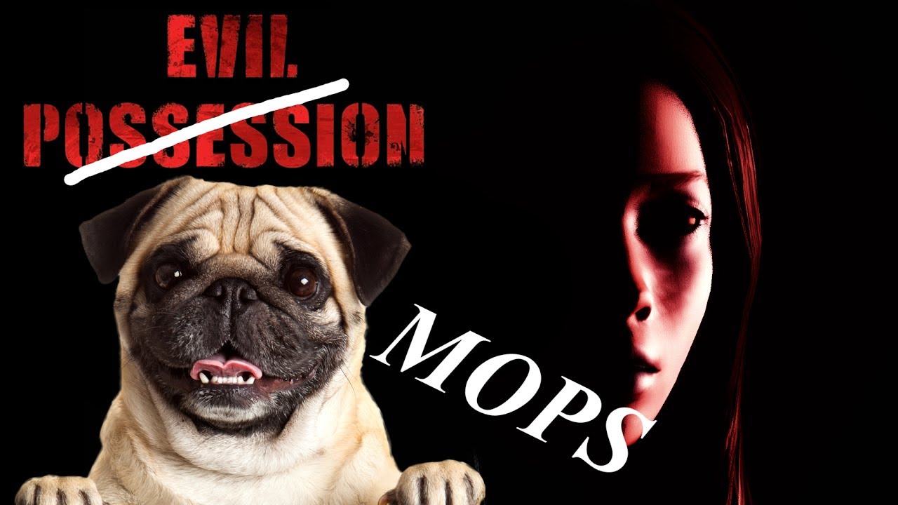 EVIL POSSESSION ♦Ein Mops auf umwegen♦ [Let's Play Evil Possession ...