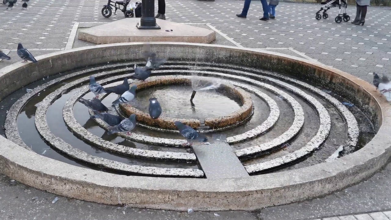 Centru Timisoara 22-02-2020 - YouTube