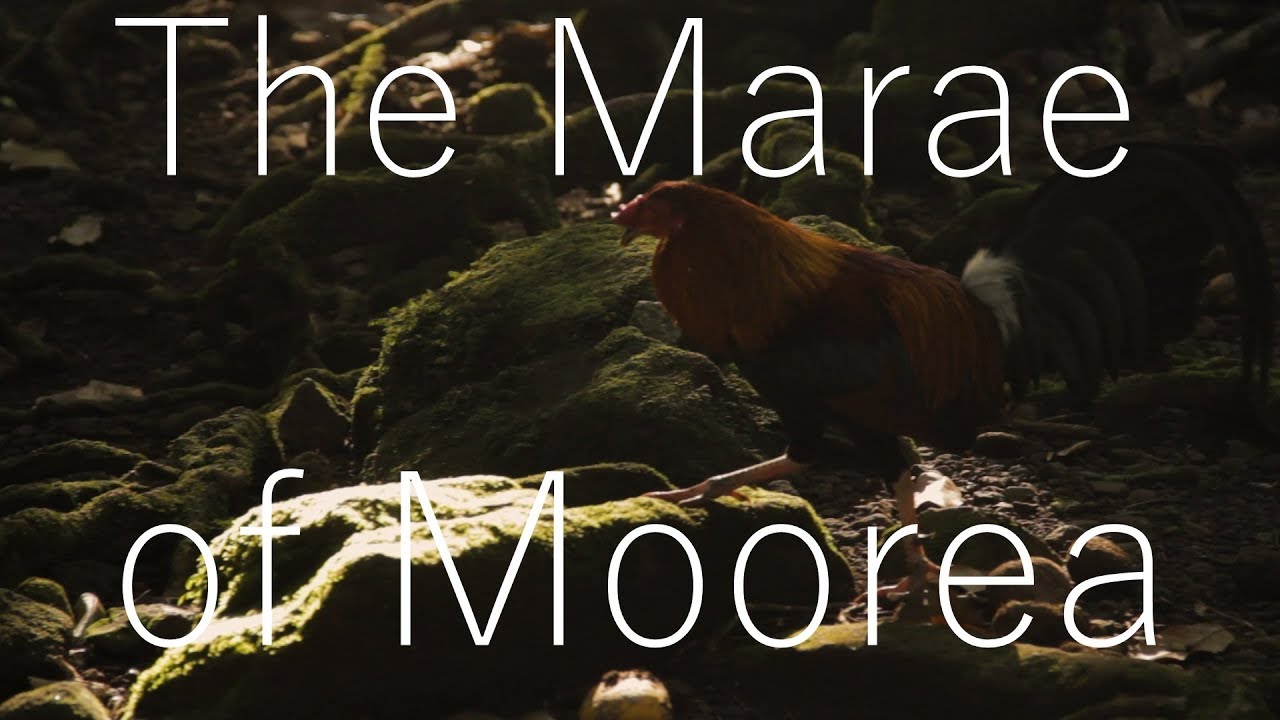 The Marae of Moorea - YouTube