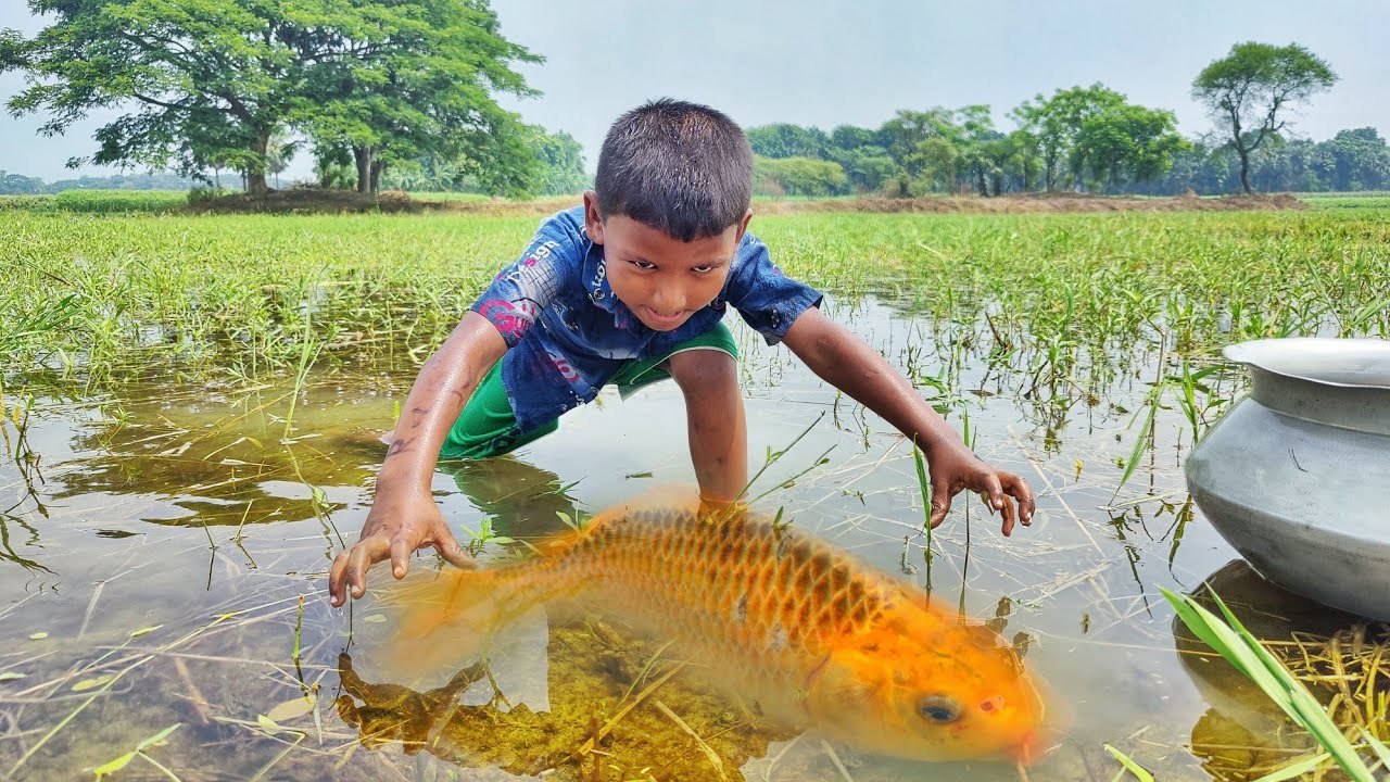 Amazing fishing video 2023 |Traditional boy catching big fish by hand ...