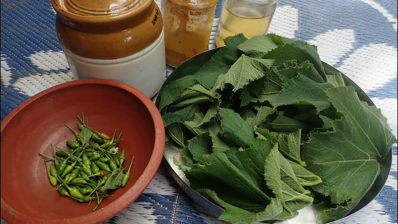 village Cooking Paruppu Recipe - Melon leaf recipe / Cooking By Village ...