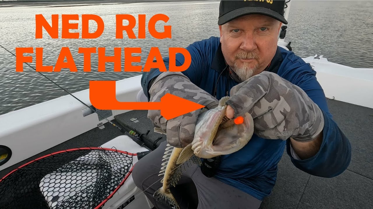 Tough Bite? Catch More Flathead Fishing the Ned Rig System! How to ...