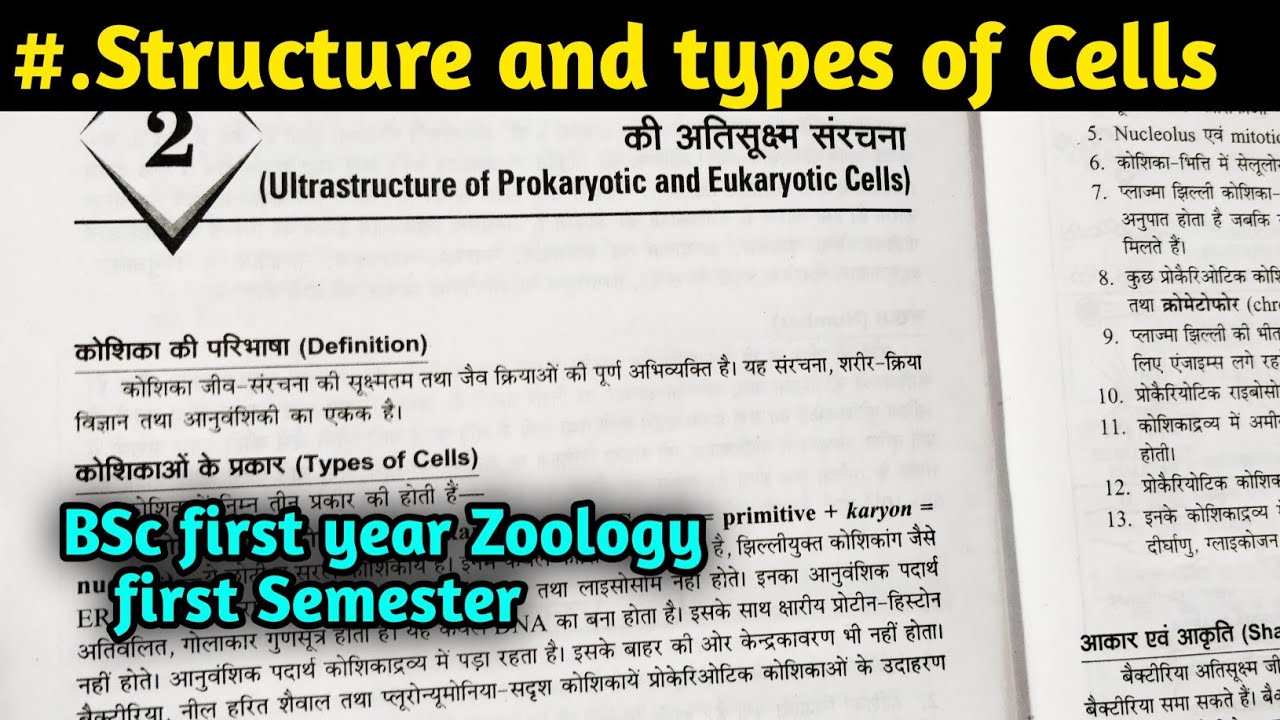 Prokaryotic and eukaryotic cell || Structure of prokaryotic cell || BSc ...