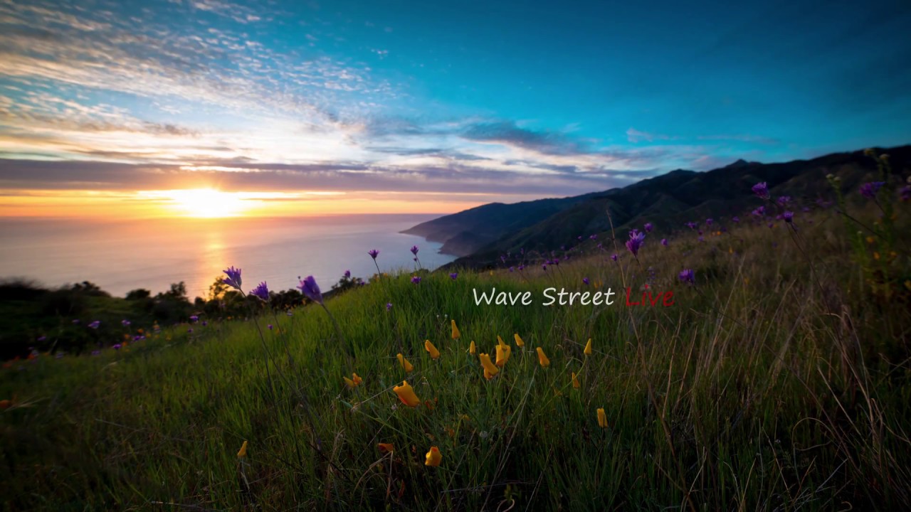 Wave Street Live Intro - YouTube