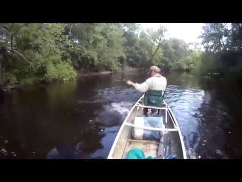 Canoe Fly Fishing Small Rivers - Tips for Success! - YouTube