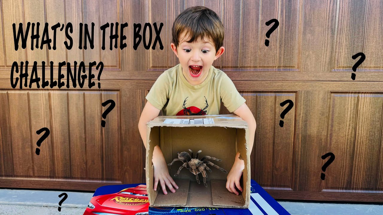 Guess What's In The Box Challenge | Easy Game Ideas For Kids | Fun ...