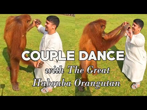 I had Great fun like Couple Dance with The Great Star Habouba the ...