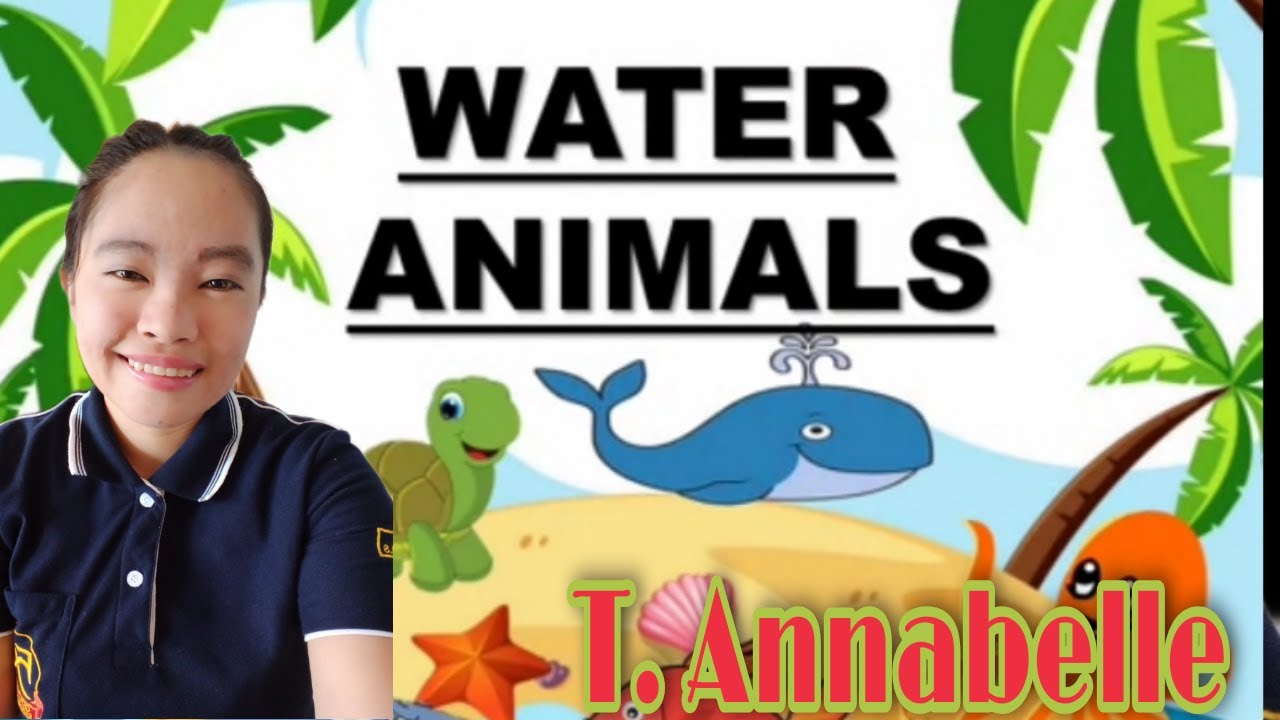 Water Animals lesson and Activity - YouTube