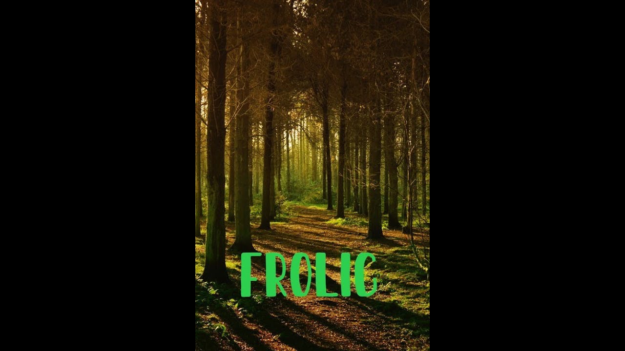 FROLIC || Beautiful Relaxing Music for Stress Relief • Meditation Music ...