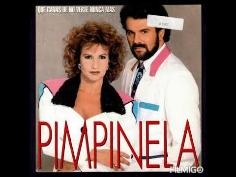 Pimpinela Una Estupida Mas - YouTube