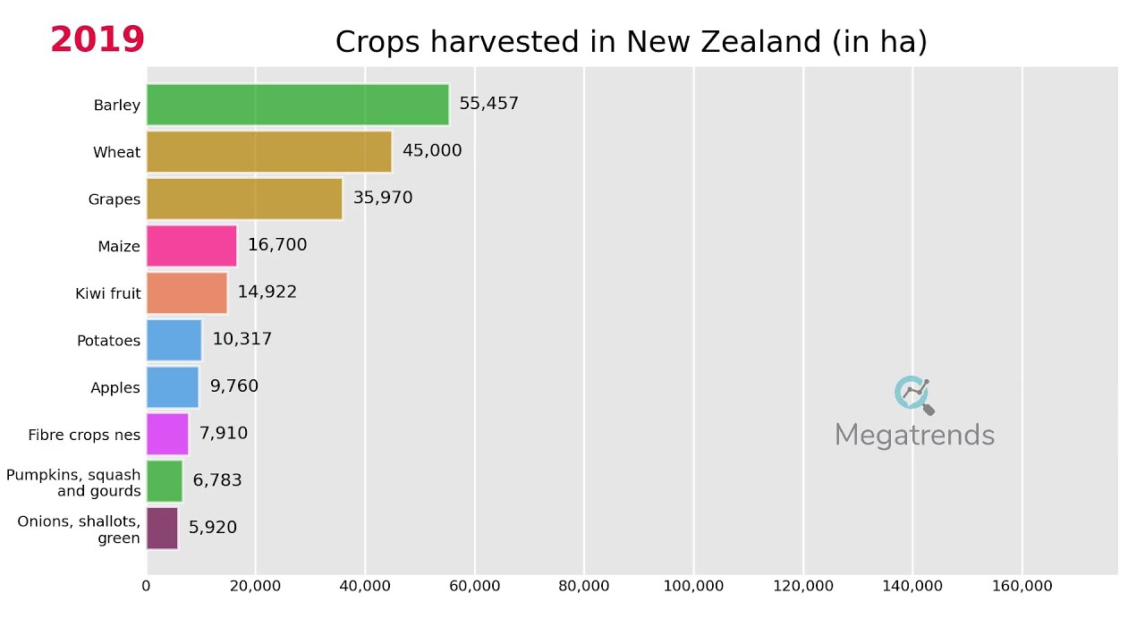 Top 10 Crops harvested in New Zealand (1961 - 2019) - YouTube
