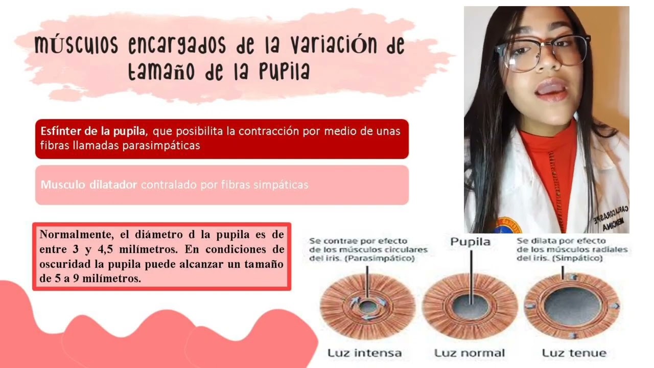 Evaluación del Reflejo Fotomotor Directo y Consensual - Equipo C, I.T.P ...