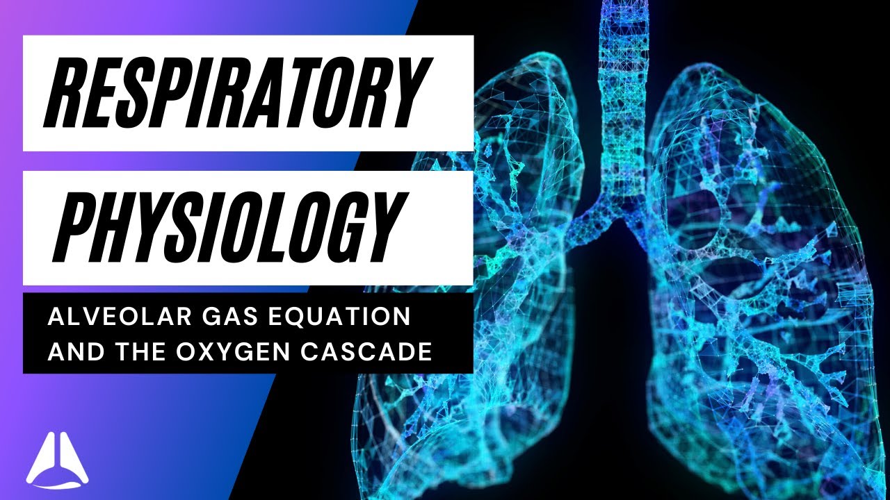 Respiratory physiology lecture 7 - Alveolar gas equation, oxygen ...