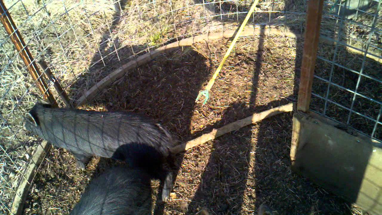 Loading Wild Hogs - YouTube