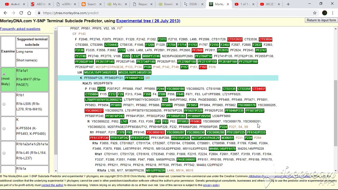 How to FIND YOUR HAPLOGROUP WITH THE Y-SNP Terminal Subclade Predictor ...