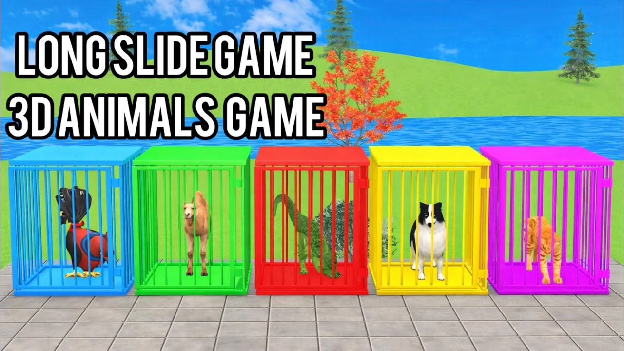 Which Animal in Which Color Cage? 🤔 | Fun Cartoon - YouTube