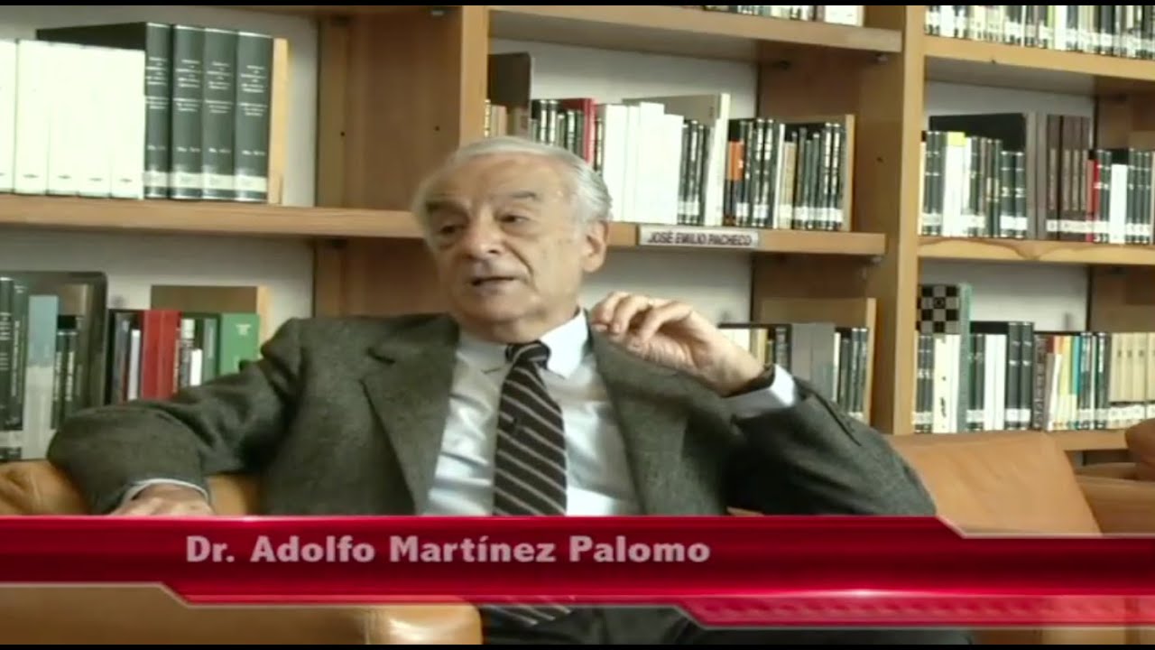 Entrevista a Adolfo Martínez Palomo - YouTube