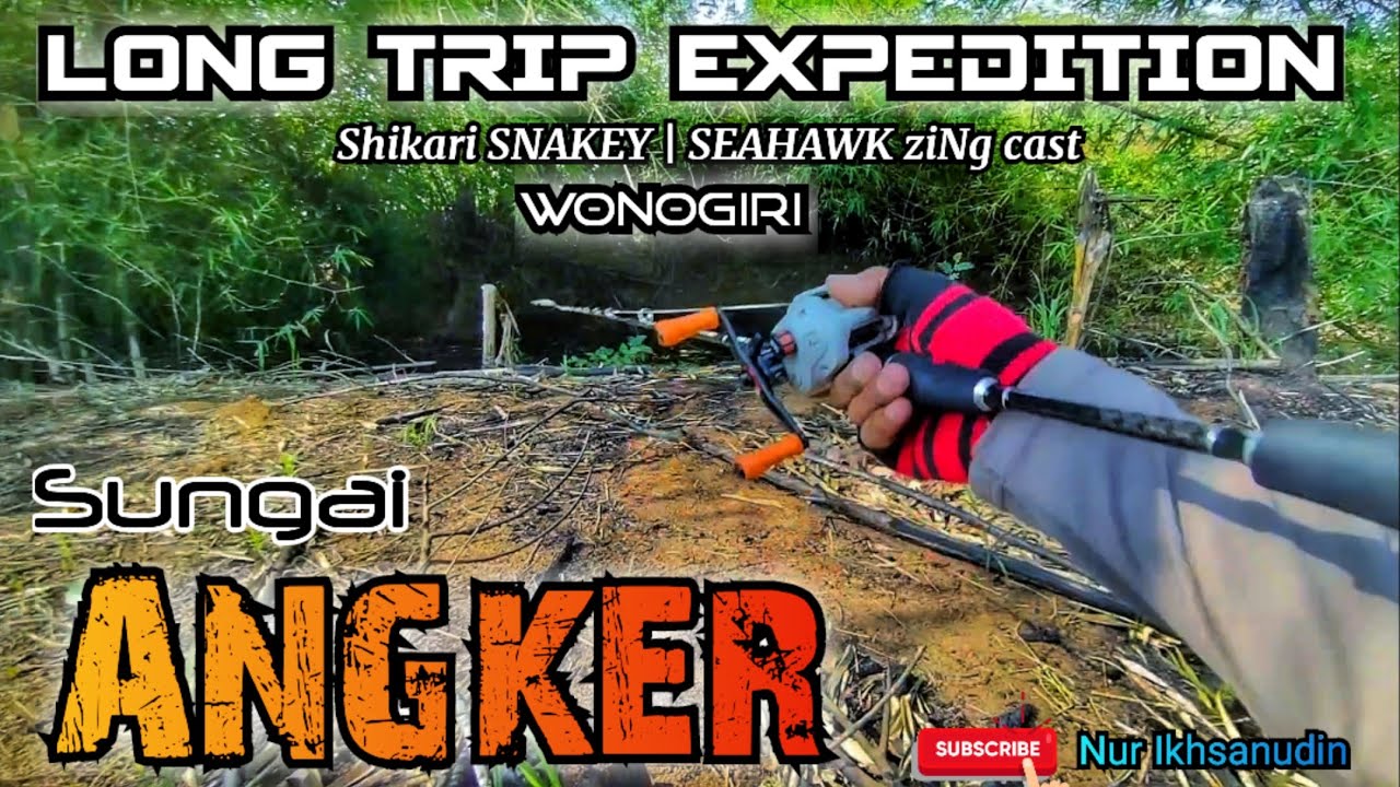 Menyusuri sungai angker di wonogiri😱berburu gabus💥shikari snakey 🔥 ...