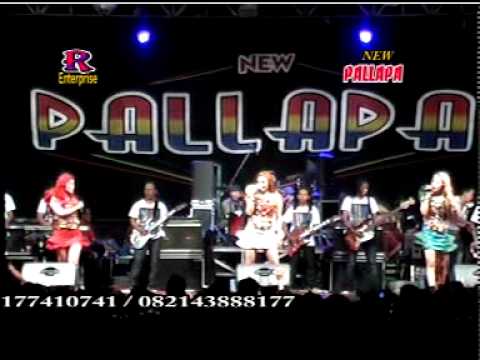 Janda 7 Kali - Pallapa Trio Macan