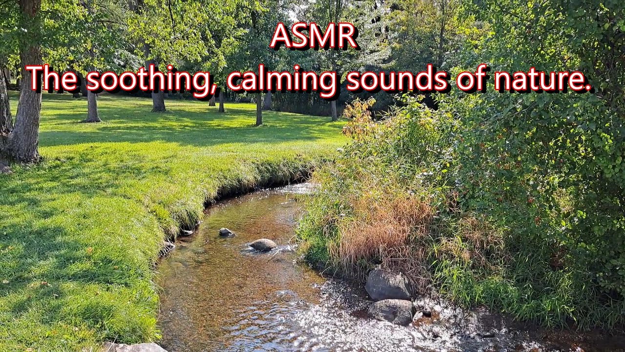 ASMR: The SOOTHING, CALMING sounds of nature. - YouTube