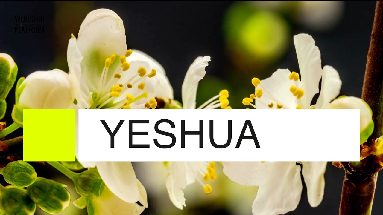YESHUA @houseofgodLT - YouTube