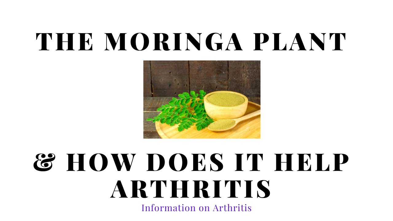 The Moringa Plant - How Can It Help Arthritis Sufferers. - YouTube