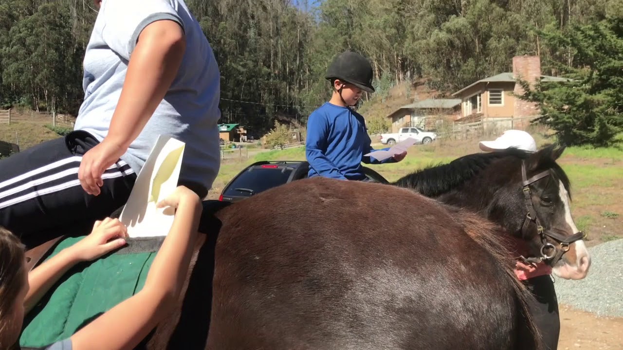 Horse Boy Method: Epic Treasure Hunt to teach kids how to research and ...