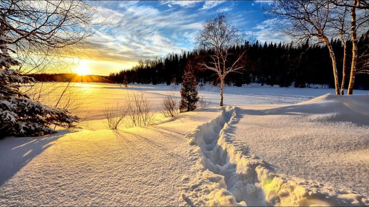 Does it snow in Seattle? 2023 Updates - YouTube