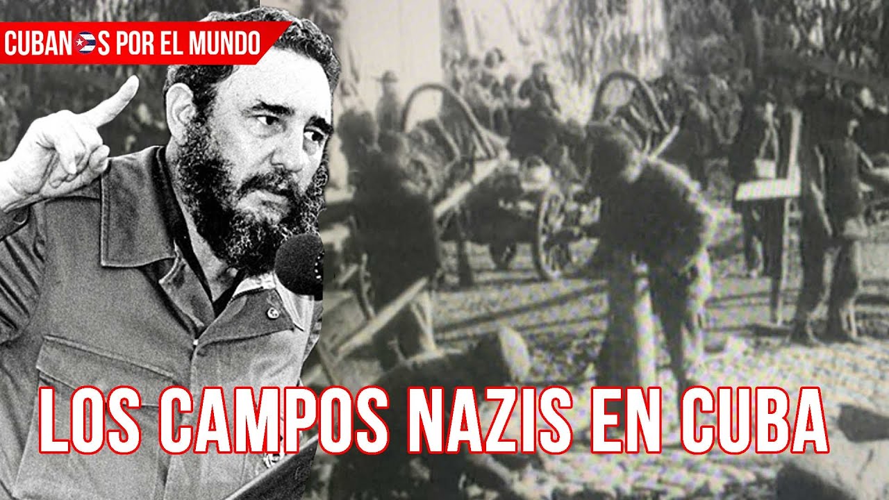 Fuerte testimonio de los campos de concentración en Cuba para formar el ...