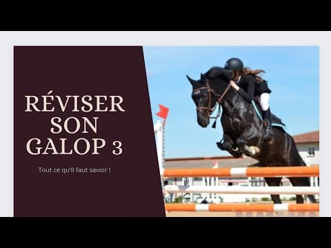 LA THÉORIE DU GALOP 3 📖 Tout ce que tu dois connaître ! - YouTube