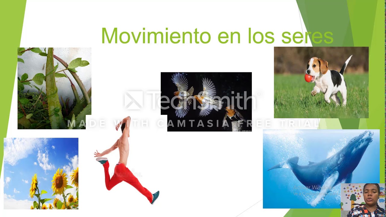 Movimiento en los seres vivos -parte 1 grado 4 - YouTube
