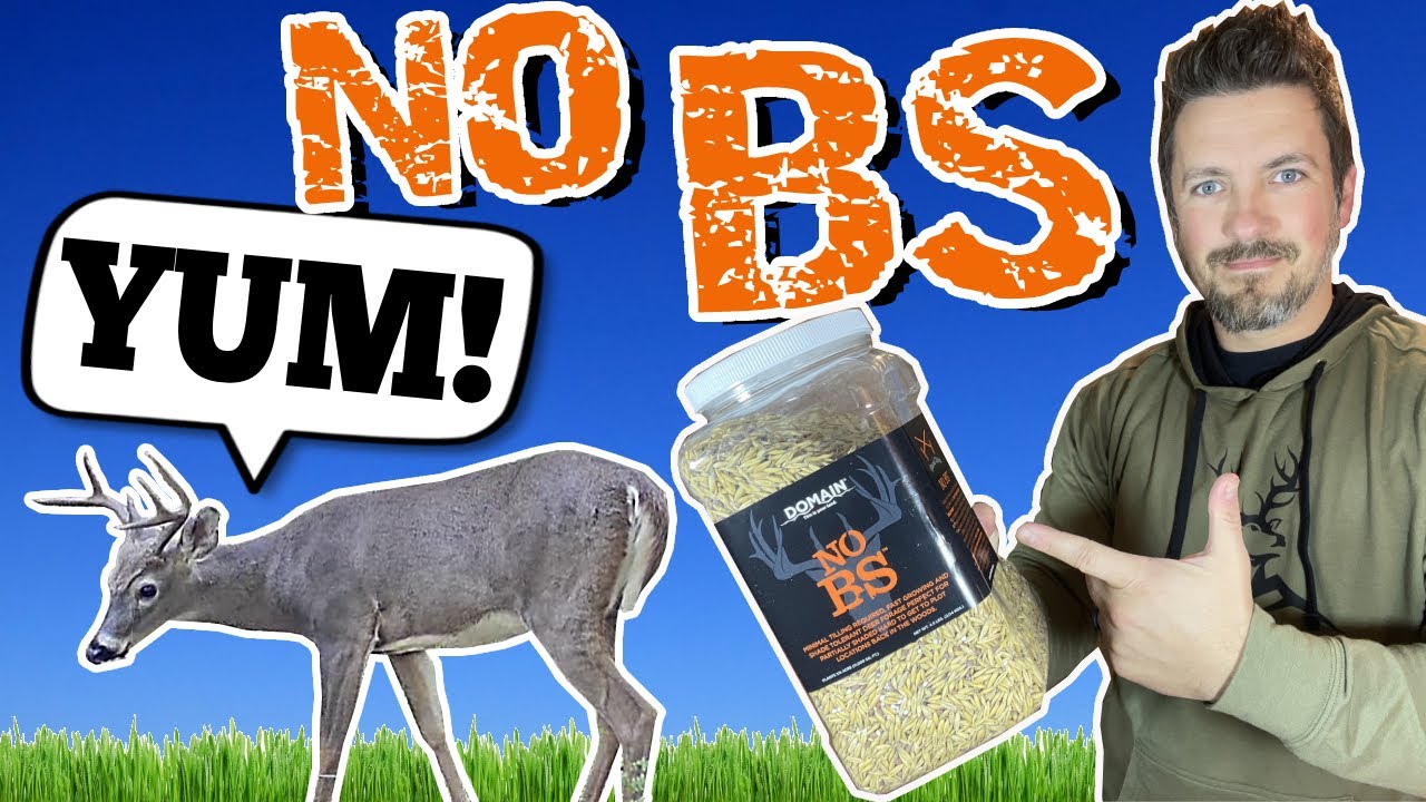 [UPDATE]🌱 No BS Throw & Grow Food Plot from Domain Outdoor. Bucks are ...