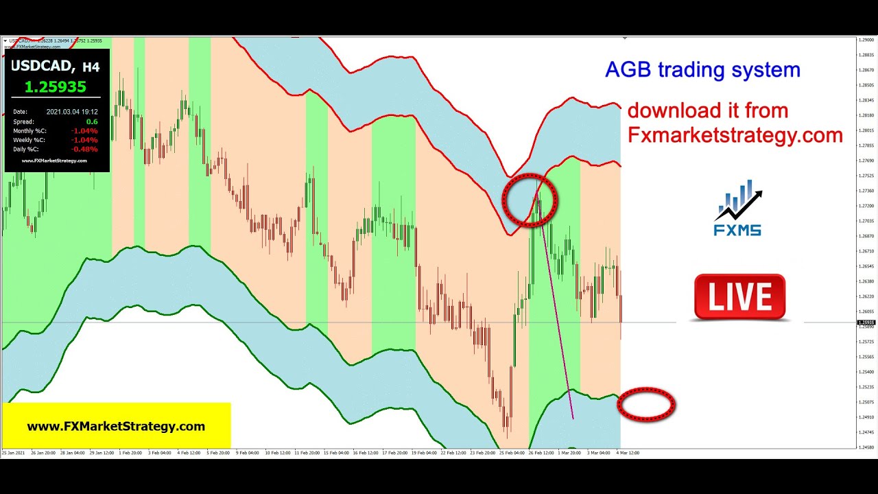 What is the best forex trading system? VSA market scanner - YouTube