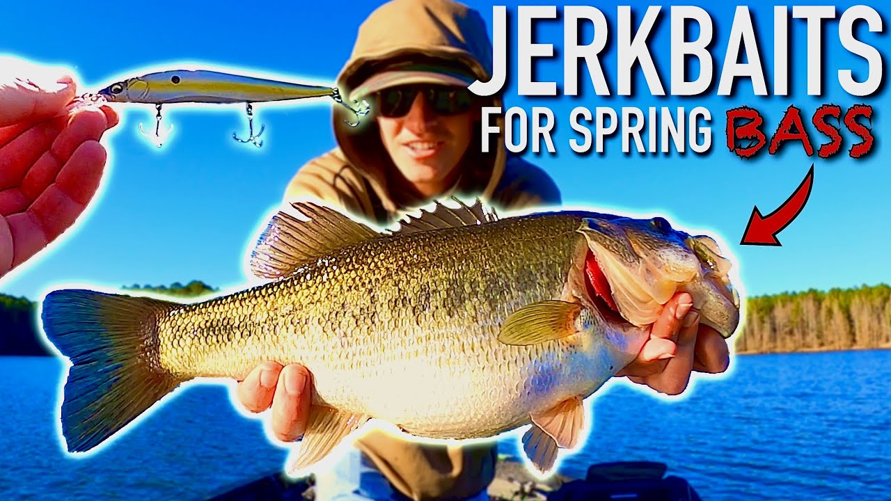 Fishing Jerkbaits for SPRING BASS (Jerkbait Tips & Tricks) - YouTube