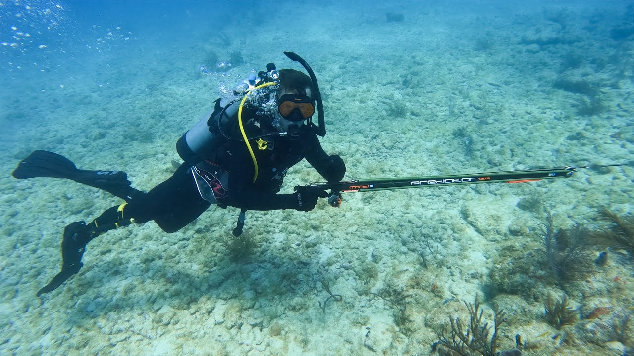 Miami Beach Scuba Diving and Spear Fishing 🎣🌊 - YouTube