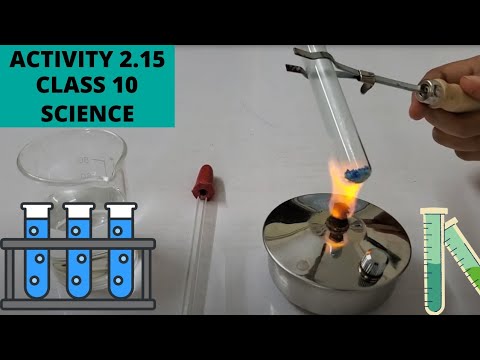 ACTIVITY 2.15 ll CLASS 10 ll SCIENCE ll CHAPTER 2 ll CBSE/NCERT ll ...