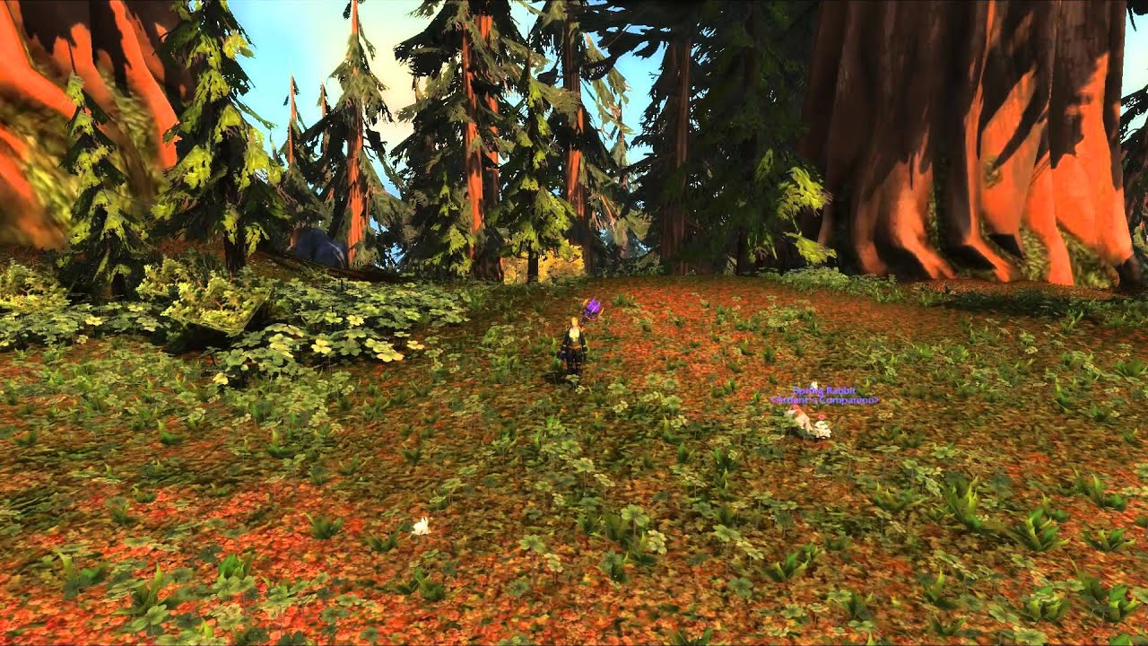 Spring Rabbit - World of Warcraft WoW pet - YouTube