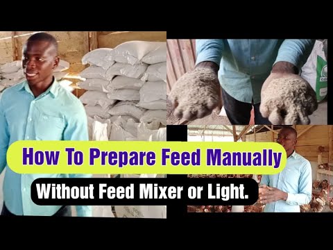 How To Manually Prepare Feed || Without Feed Mixer Machine or Light ...