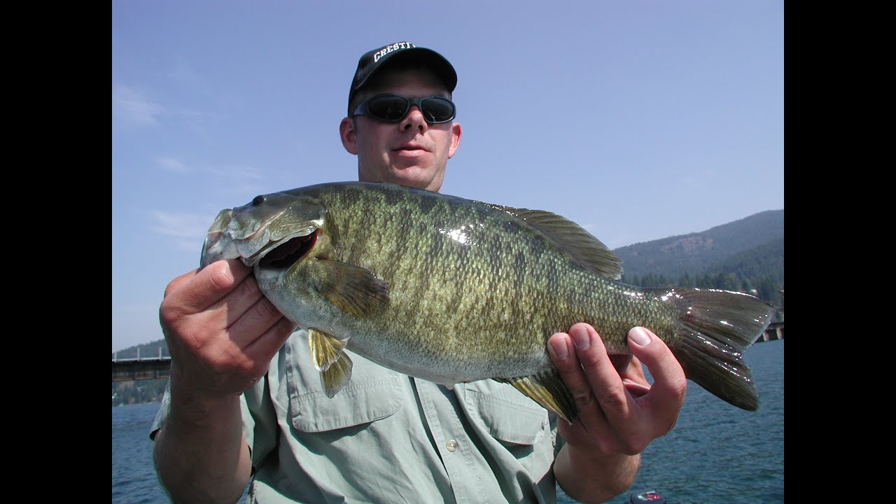 Drop Shotting Big Summer Smallmouth! "Angler's Xperience Episode 50 ...