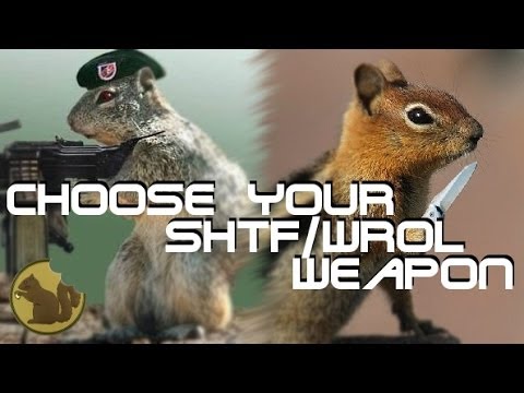 Choose Your (SHTF/WROL) Weapon [German/Deutsch] - YouTube