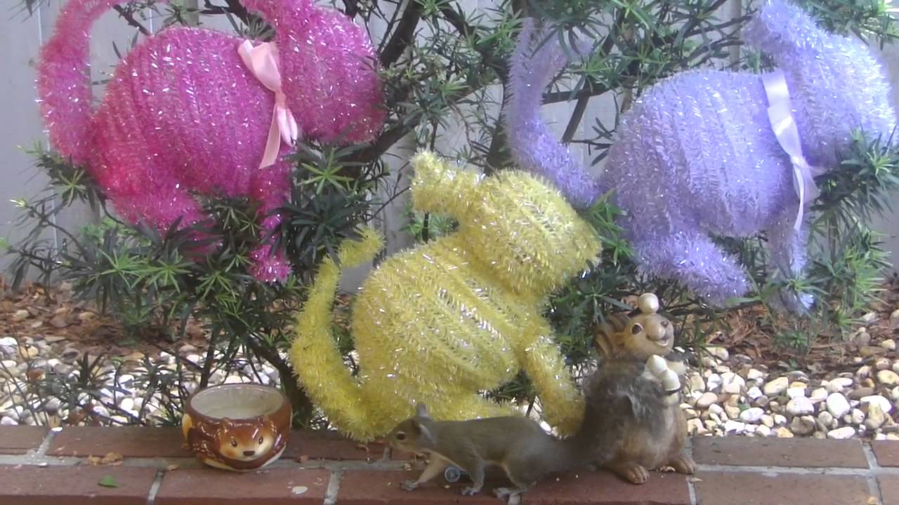 A MUST SEE !!!!! GRAY SQUIRREL SONG\ SQUIRREL WALL DECOR - YouTube
