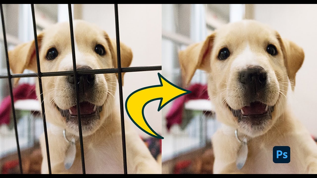 How to Remove Fence with 3 Simple Steps in Photoshop! - YouTube