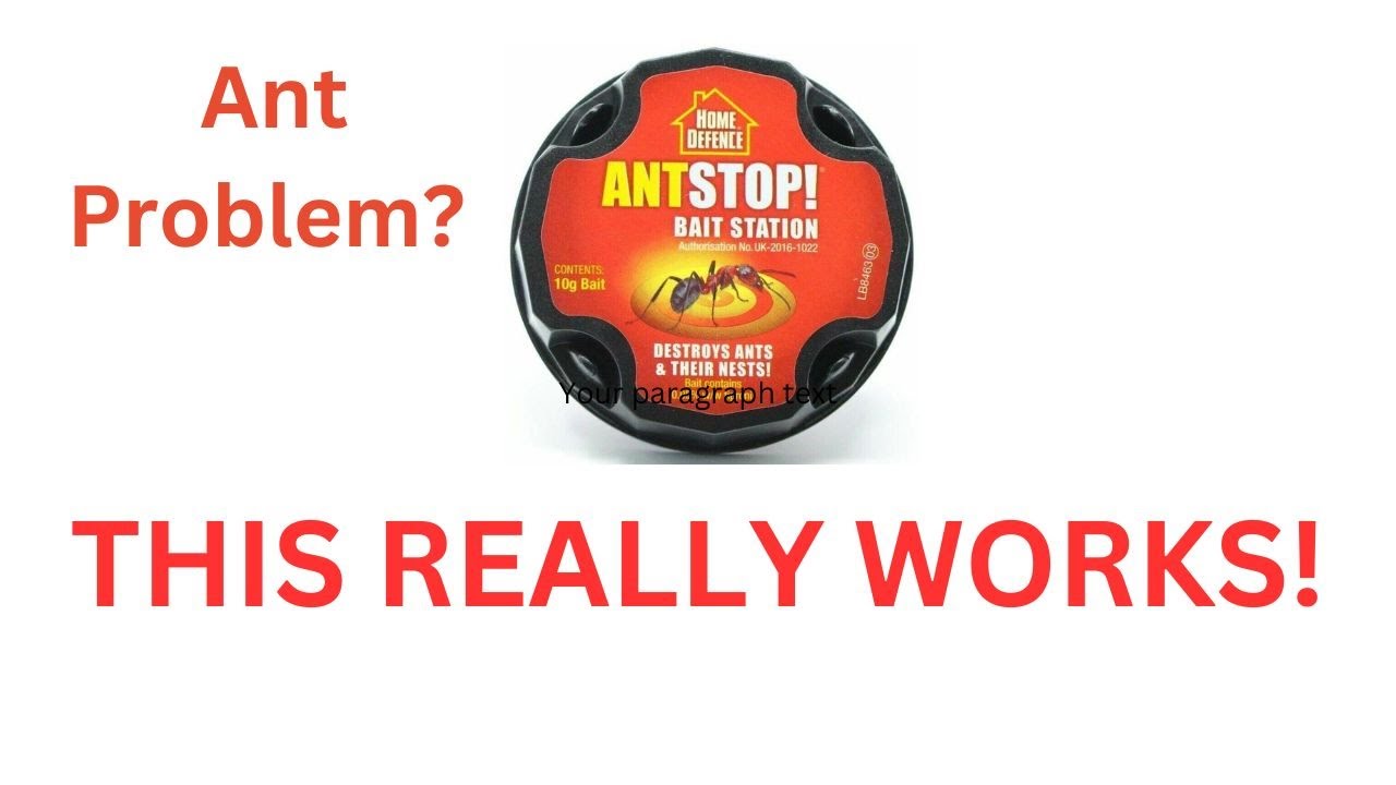 HOME DEFENCE Ant Stop! Bait Station, Destroys Ants and their Nests ...